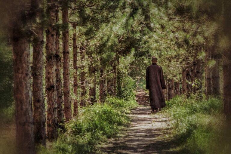 The Order of Interbeing: An Addendum – MichaelSteele.ca